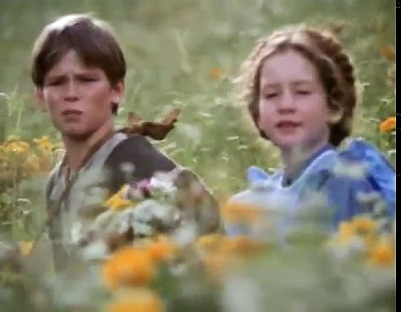 Heidi Movie 1993