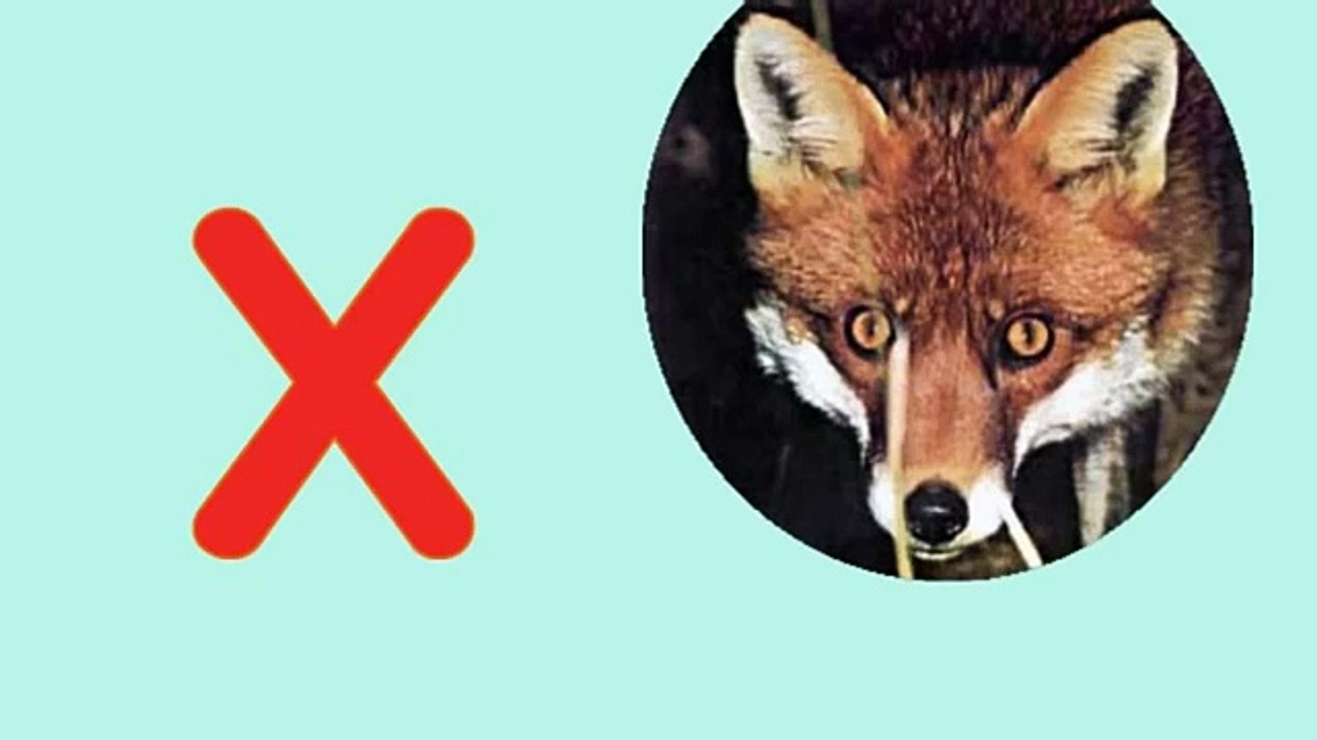 Phonics Song 2 ABC Phonics Song 2 New Version|ABC Phonics Song With