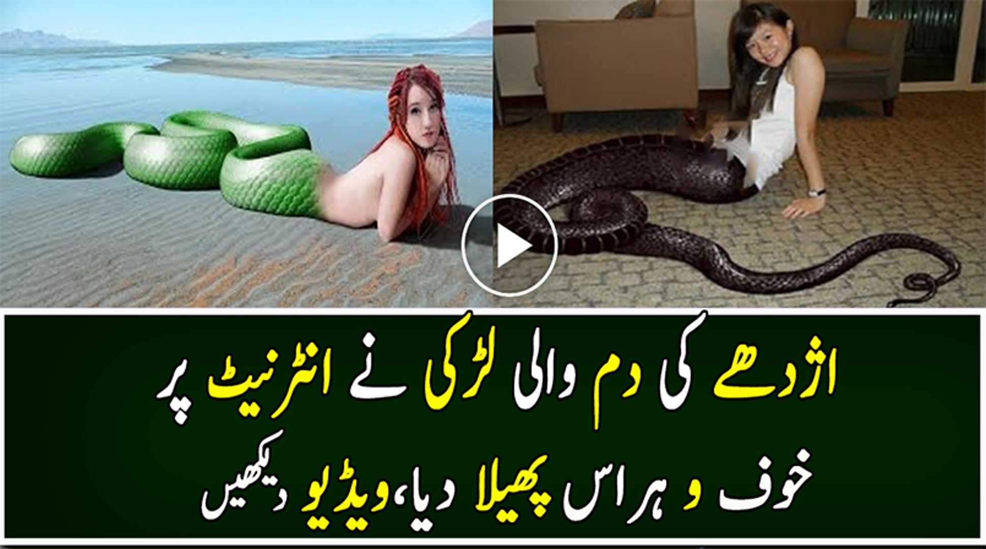 Half Human Half Snake