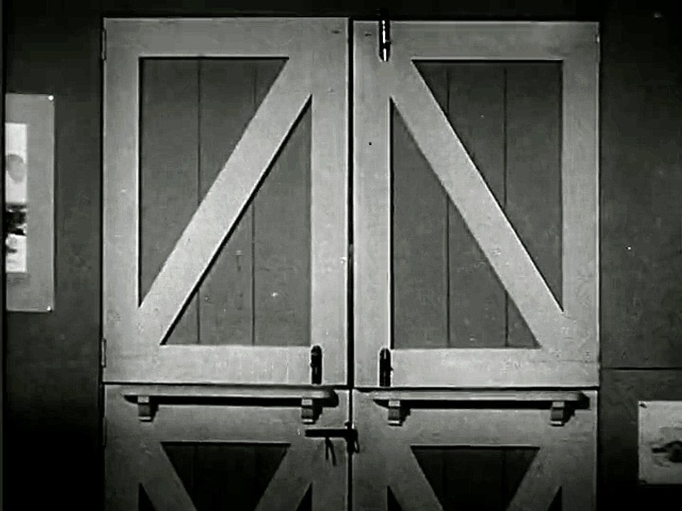 Mister Ed S3e23 Ed The Zebra - video Dailymotion