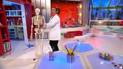 cBeebies Children Cartoon 02 videos - Dailymotion