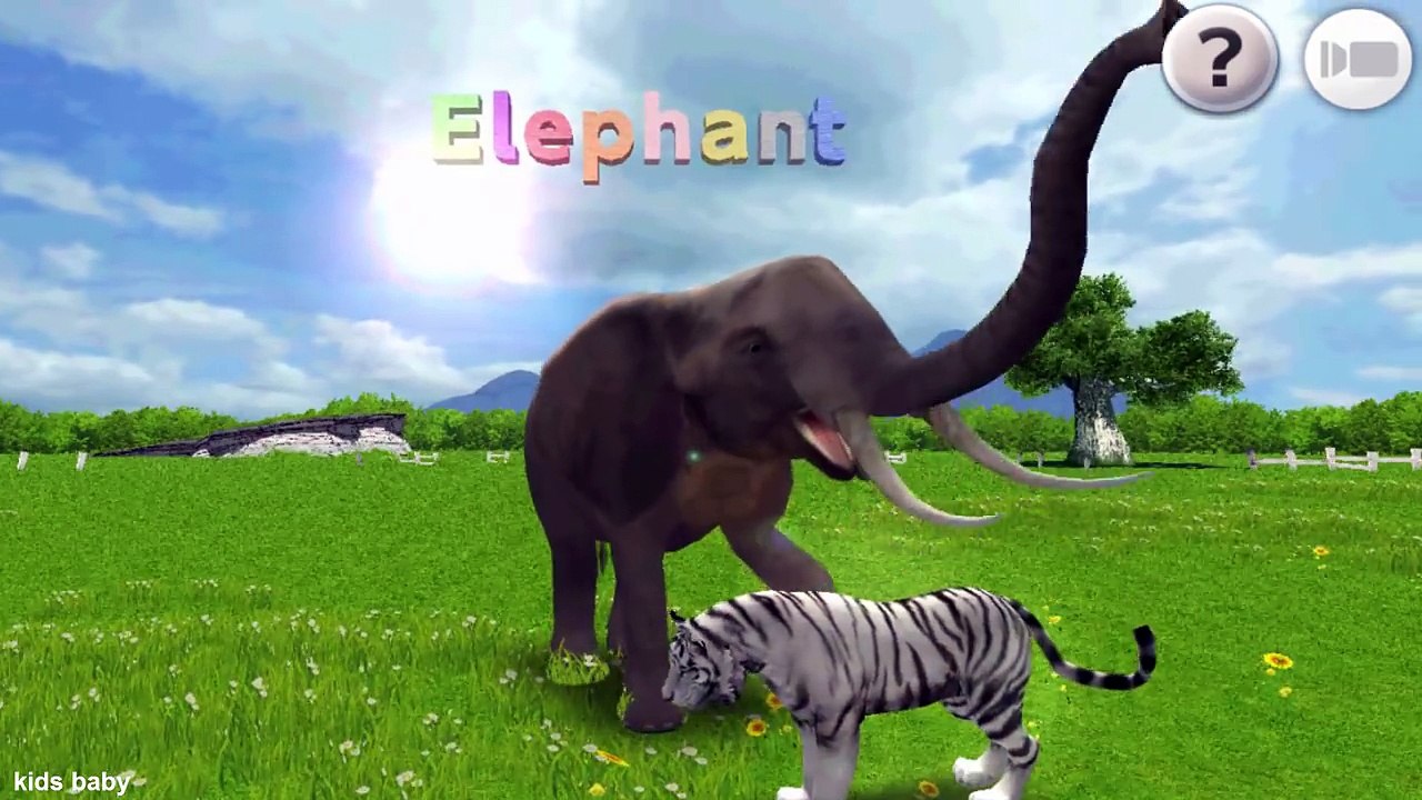 Learning Wild Animals Names and Sounds for kids in English - Vidéo ...