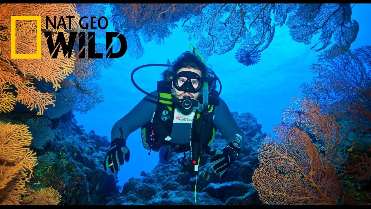 National Geographic: The Mariana Trench Deepest Place on Earth - video ...