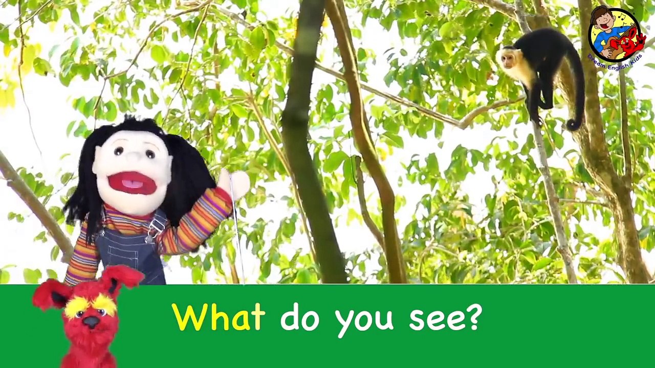 What Do You See? Song | Wild Animals | Learn English Kids - video ...