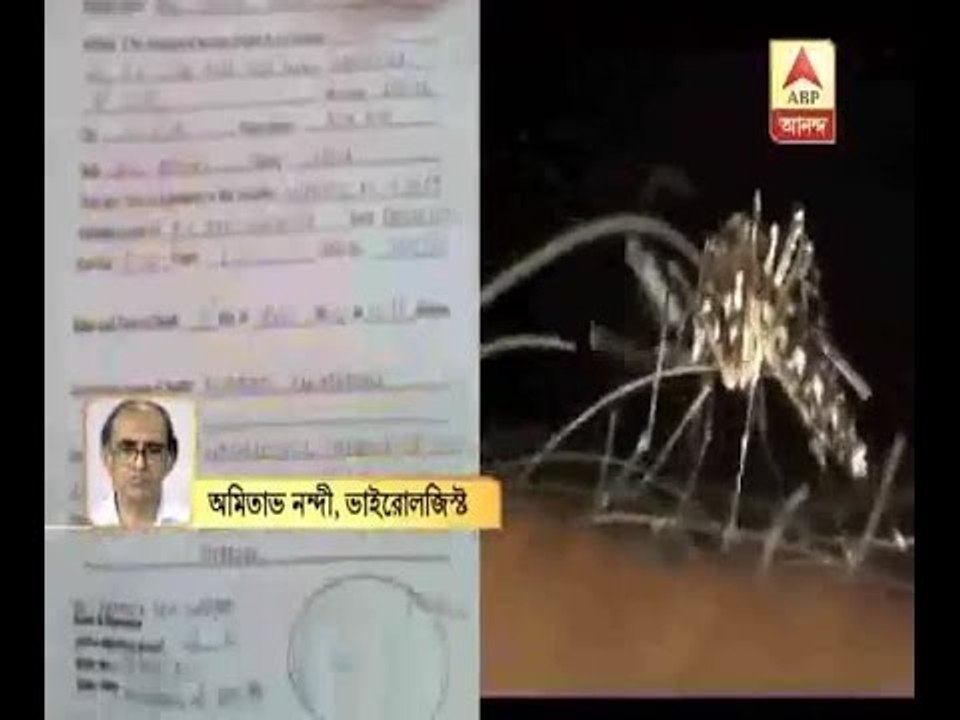 Here's virologist Dr Amitava Nandy's advice on Dengue - video Dailymotion