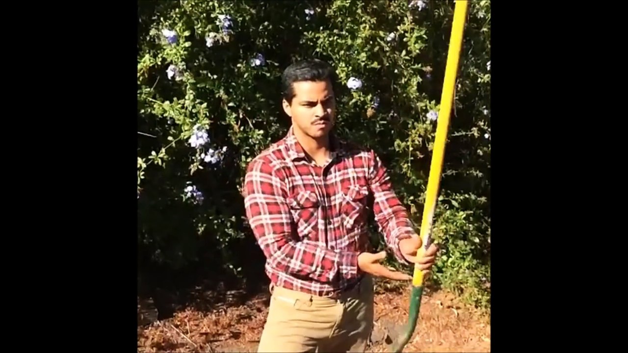NEW Compilation David Lopez - All Juan Vines (+110 vines) - video ...