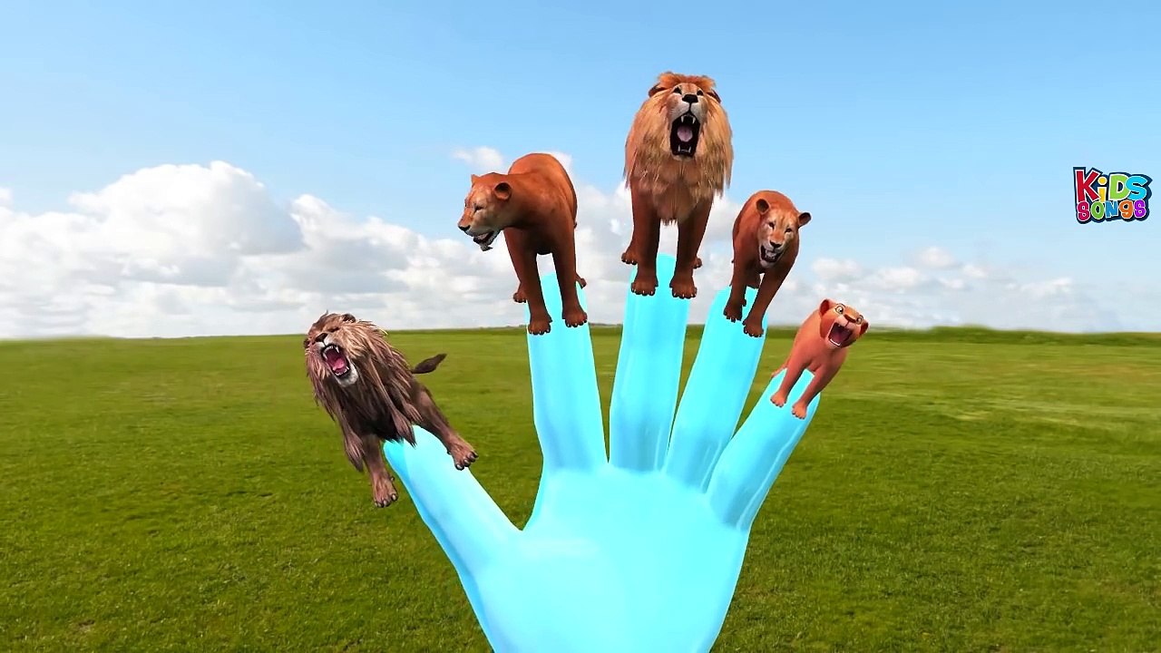 Lion King Finger Family Cartoon Nursery Rhymes | Lion Animal Finger ...