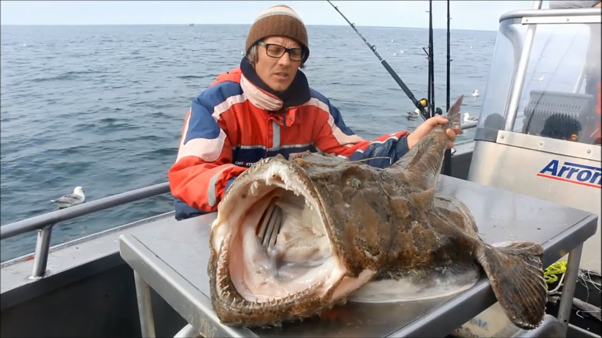 Giant Monkfish