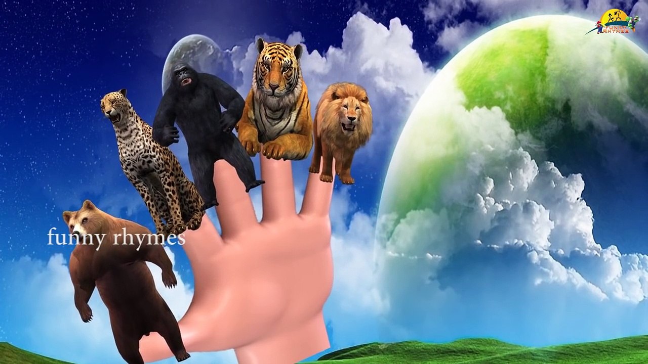 bear lion Finger Family Nursery Children 3d English Rhymes | Animated ...