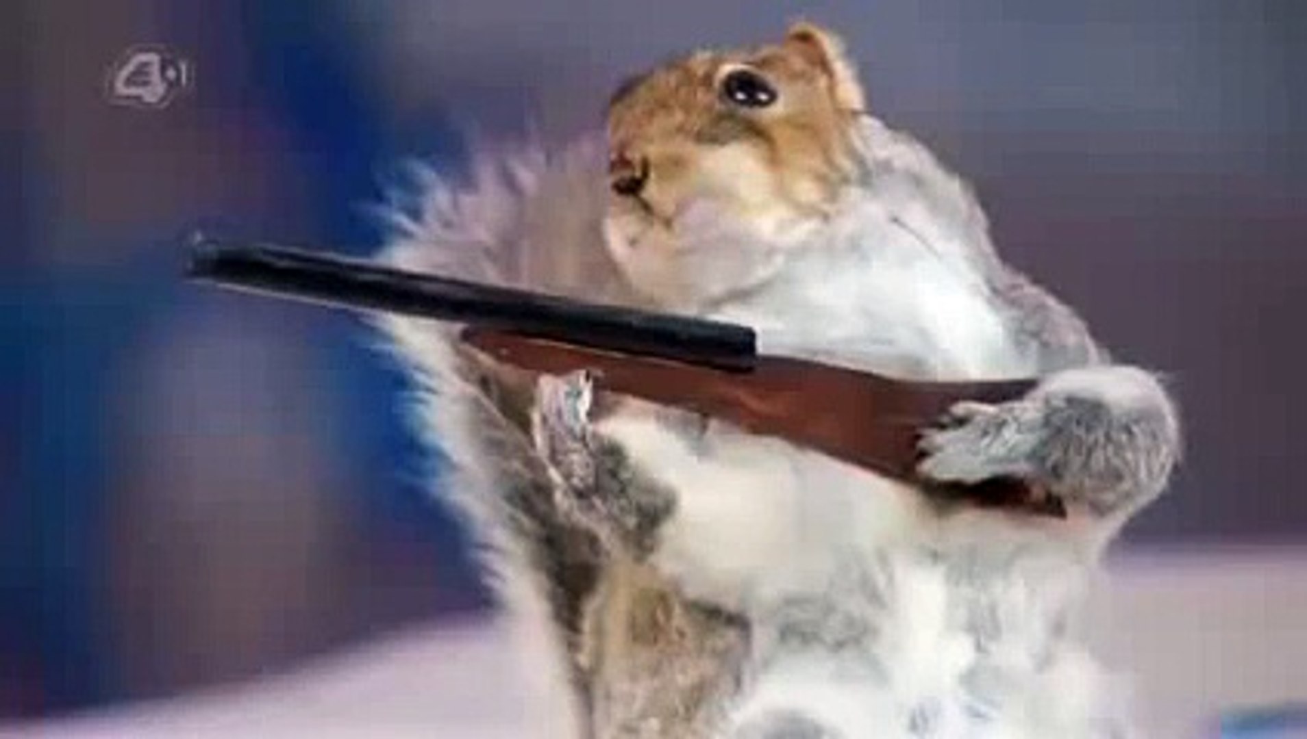 Squirrels With Machine Guns