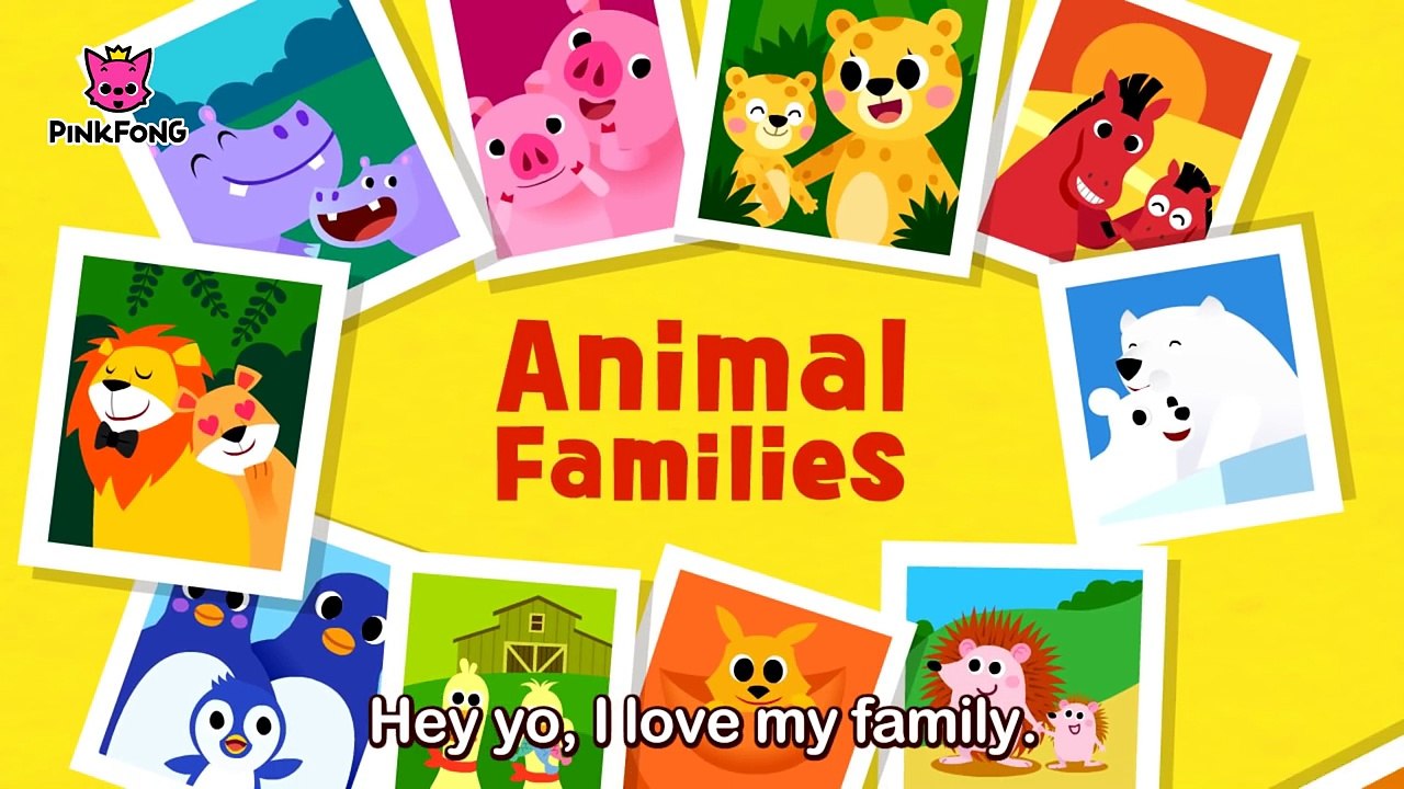 Animal Families _ Animal Songs _ PINKFONG Songs for Children ...