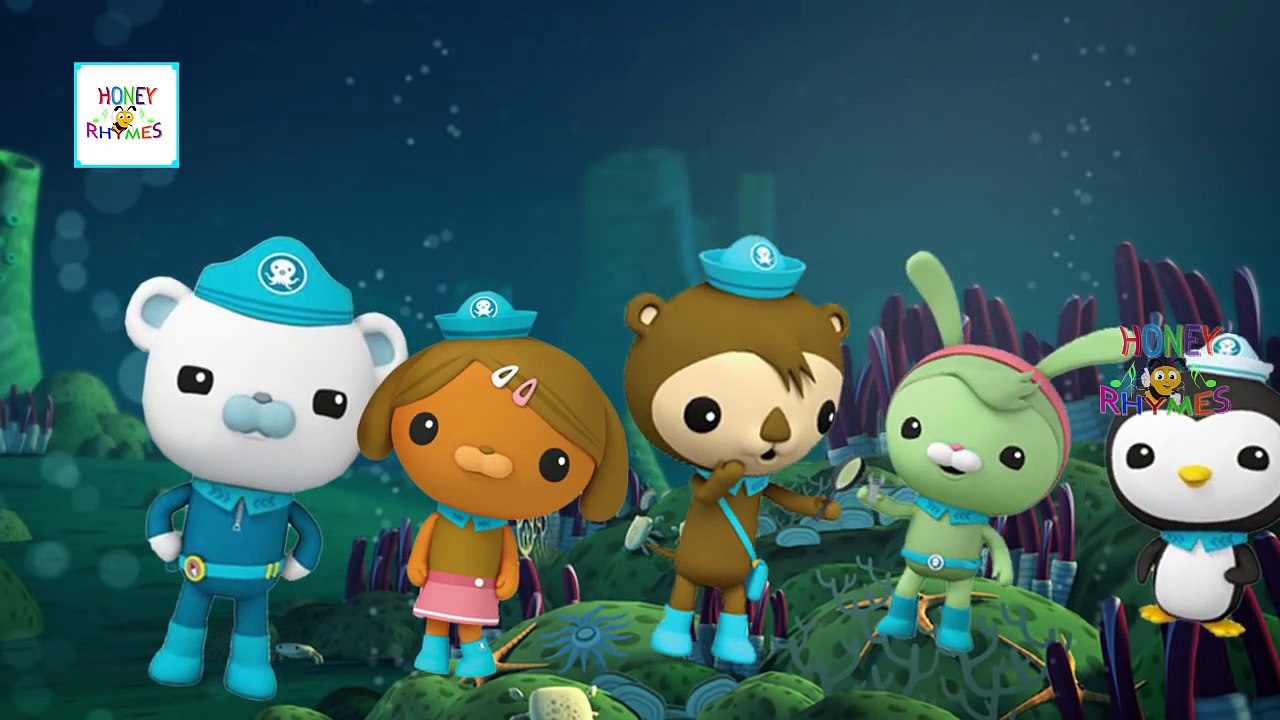 The Octonauts And Pingu Penguin Cartoon Finger Family Songs HD | Finger ...