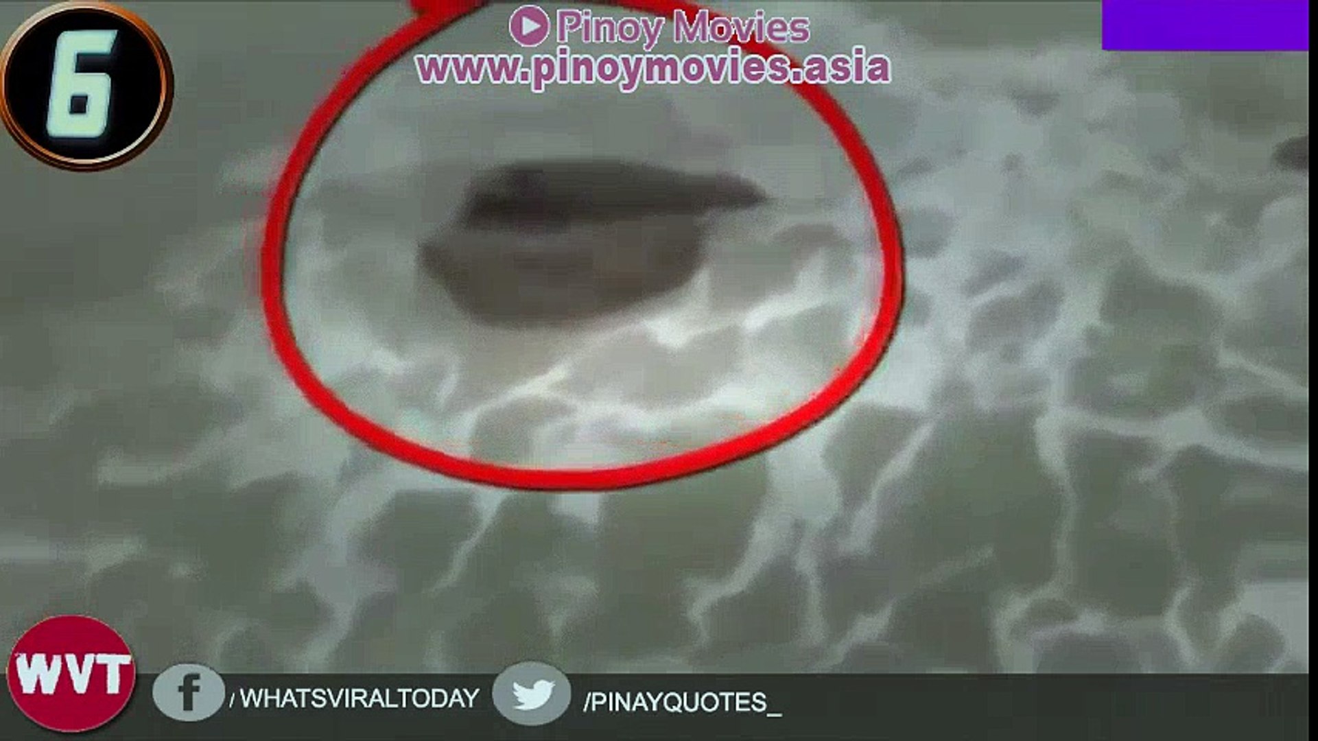 Larawan Ng Totoong Sirena