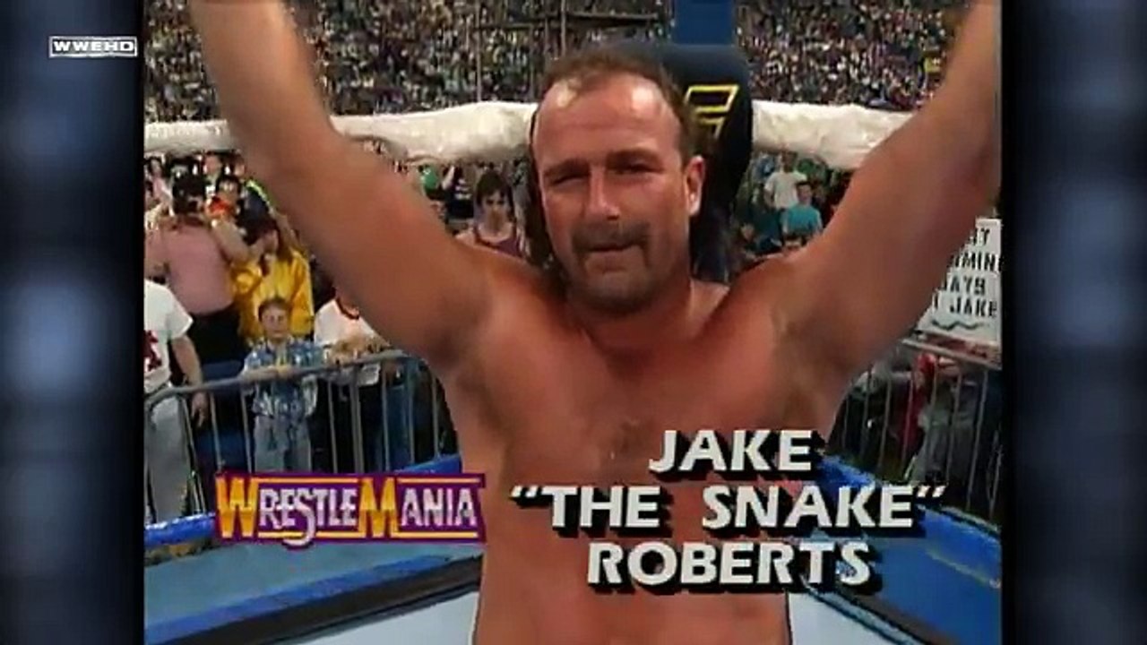 The Undertaker The Streak 2-0 vs Jake Roberts - video Dailymotion
