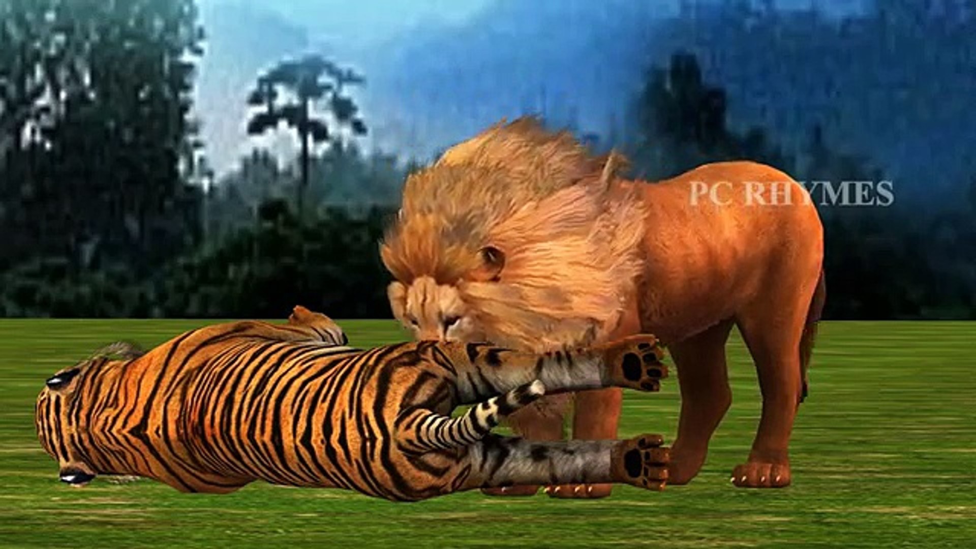 Lion Attacking Tiger Video