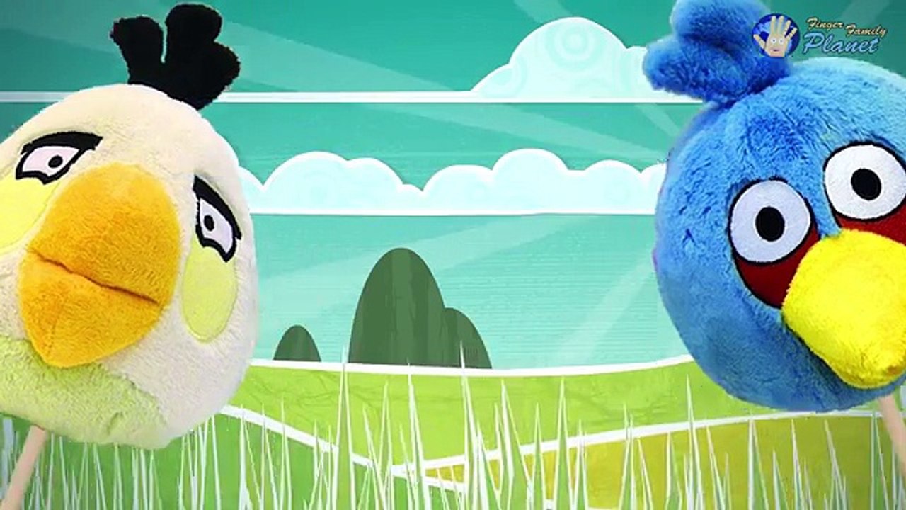 ANGRY BIRDS Finger Family Song w/ Red, Chuck, Terence, Matilda | Angry ...