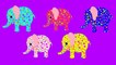 Elephant Finger Family | Dumbo, Lumpy, Horton, Ding Dong | and more ...