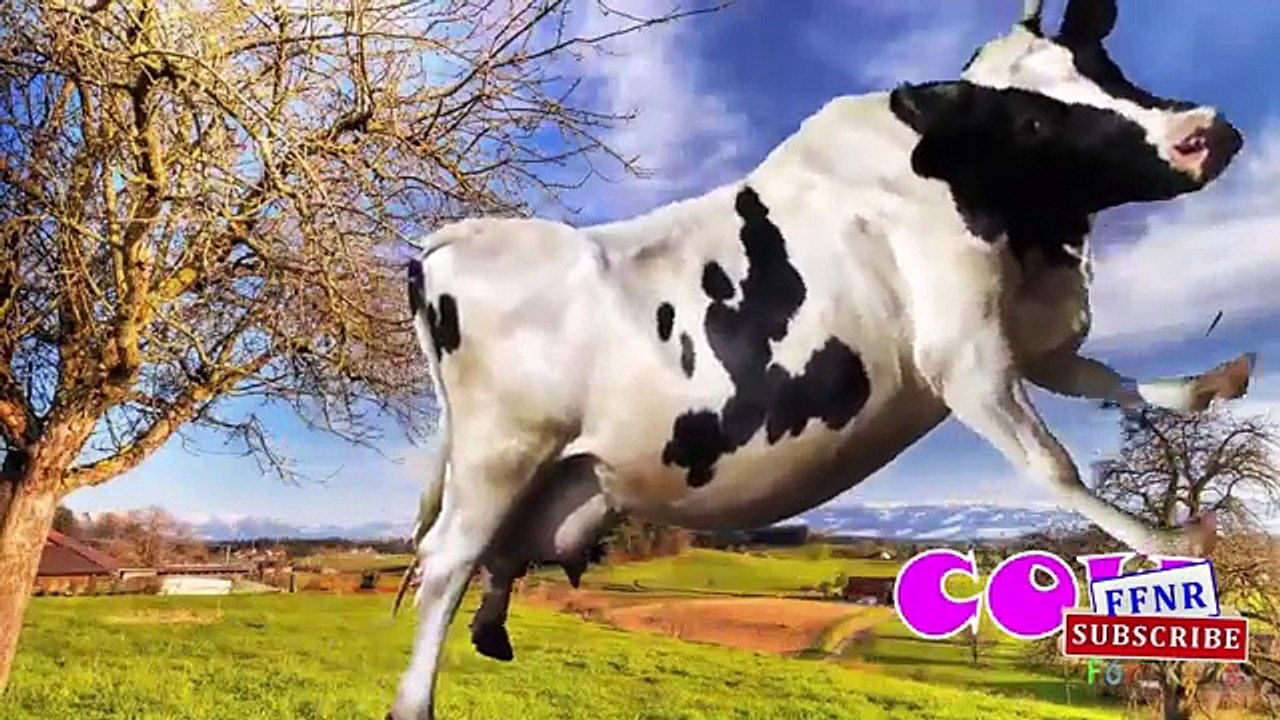 learn Domestic animals sounds for kids | learn domestic Animals Names ...