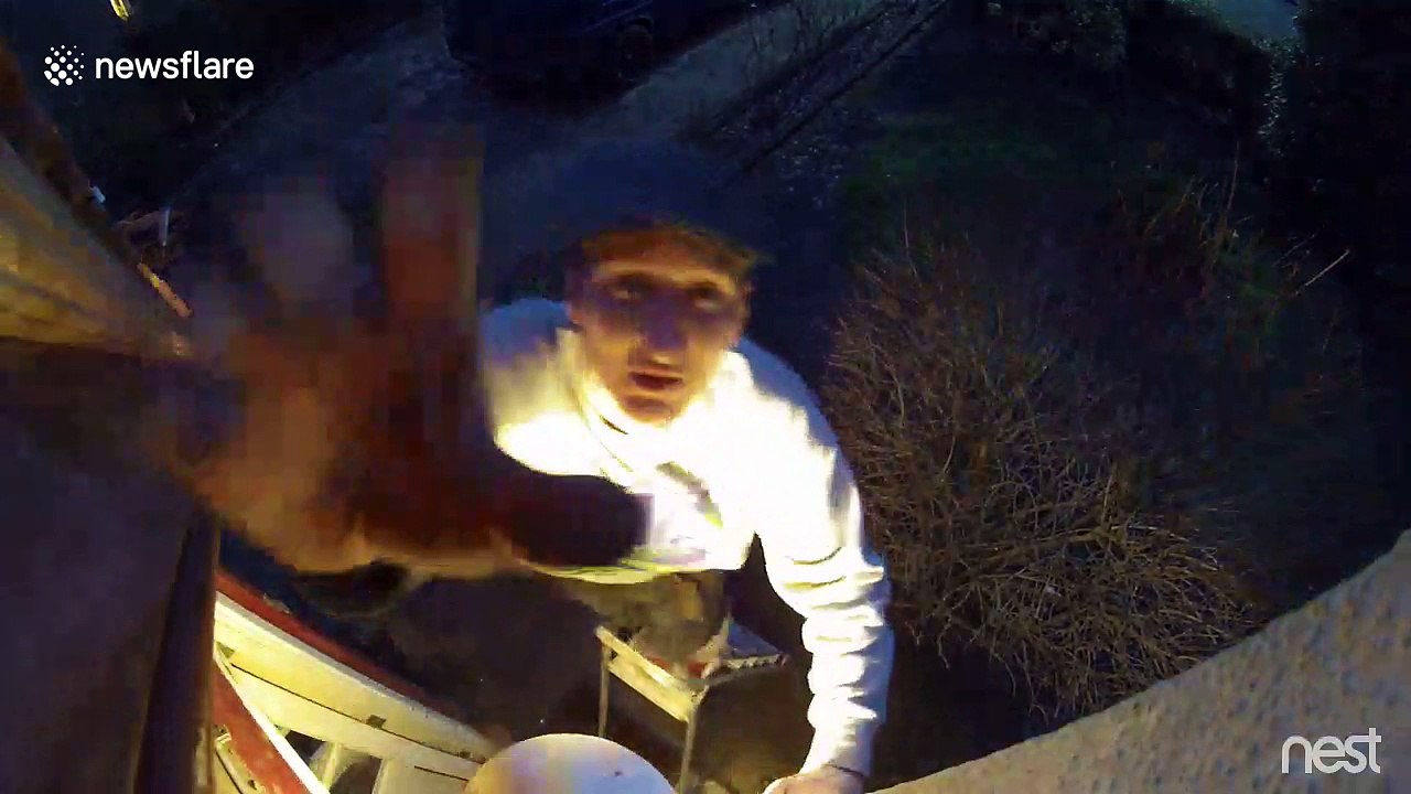 Hilarious step ladder accident caught on CCTV - video Dailymotion