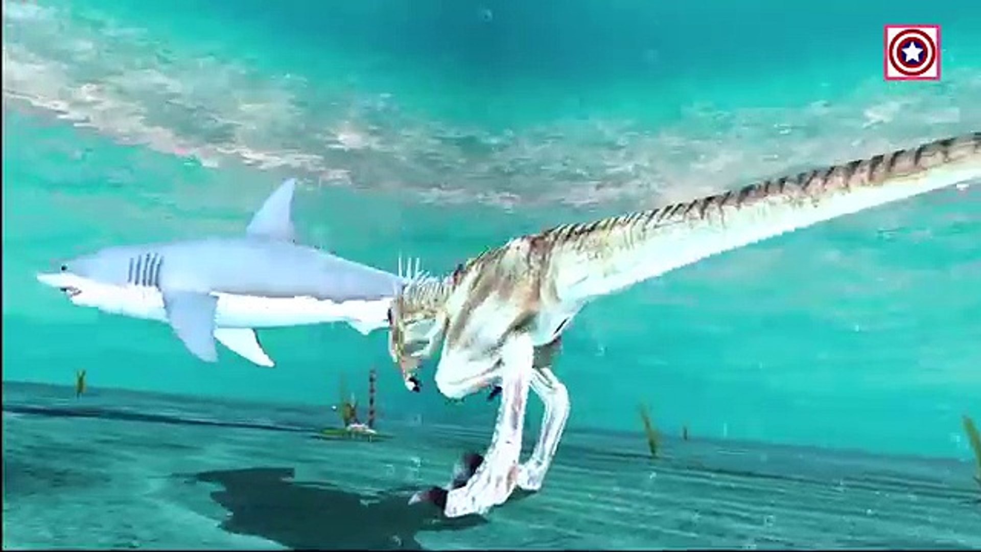 Shark Vs Dinosaur Shark Evolution: A 450 Million Year Timeline