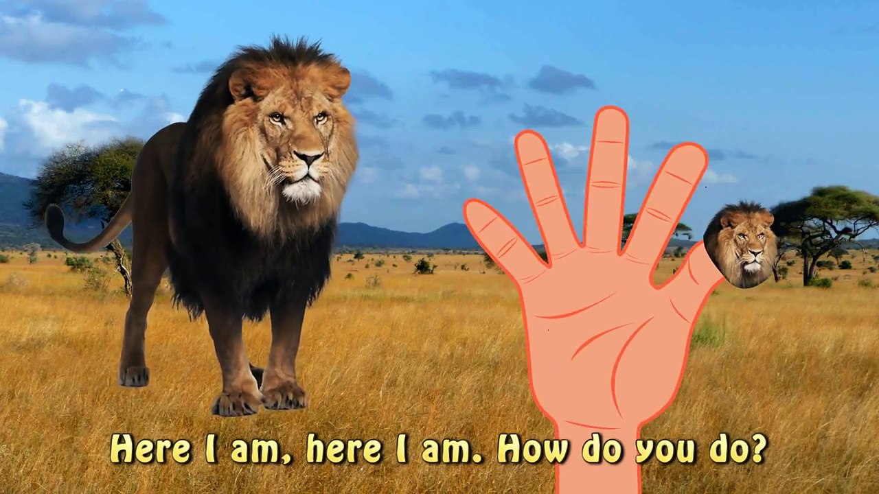 Finger Family Daddy Finger Lion Savane Animal | The Lion King Cartoons ...