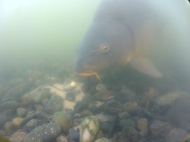 Vidéos de Frederic Ducros - Dailymotion