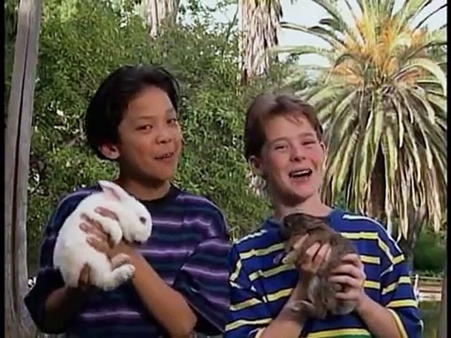 Kidsongs Baby Animal Songs