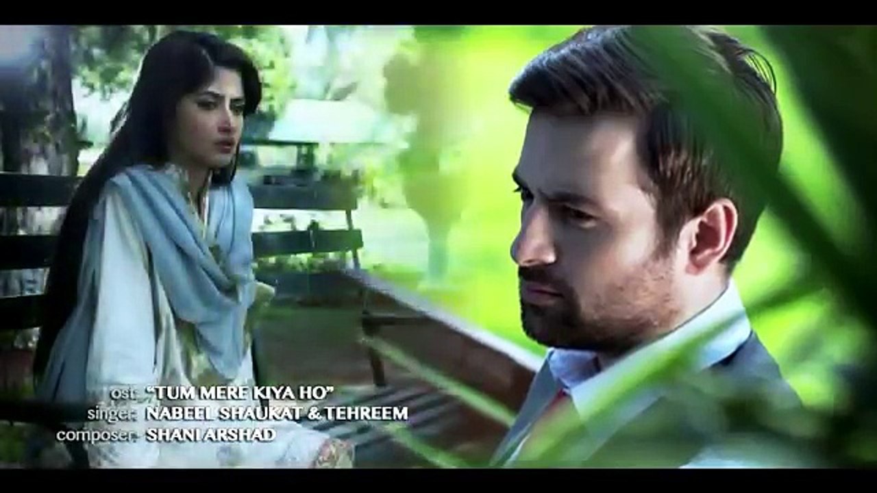 Tum Mere Kya Ho official Video Song - video Dailymotion