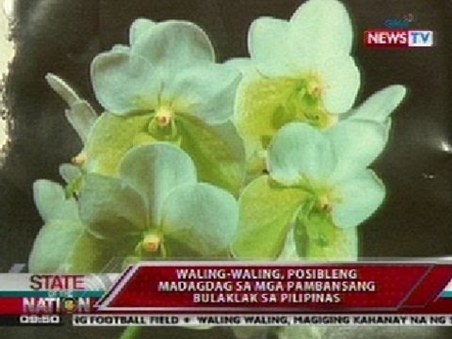 Pambansang Bulaklak
