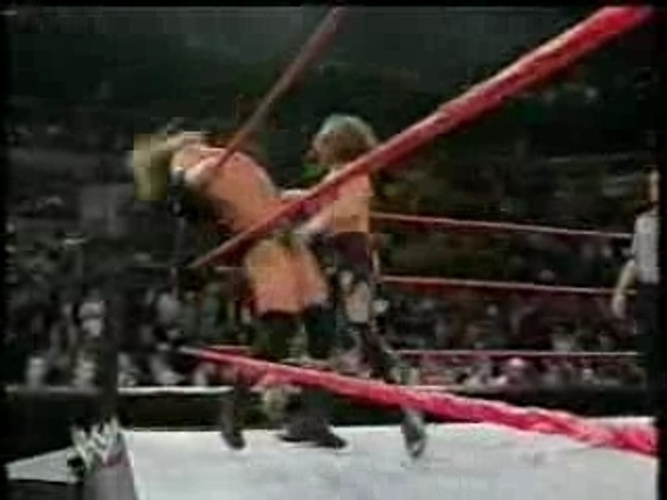 HBK vs. HHH Part 2 - video Dailymotion