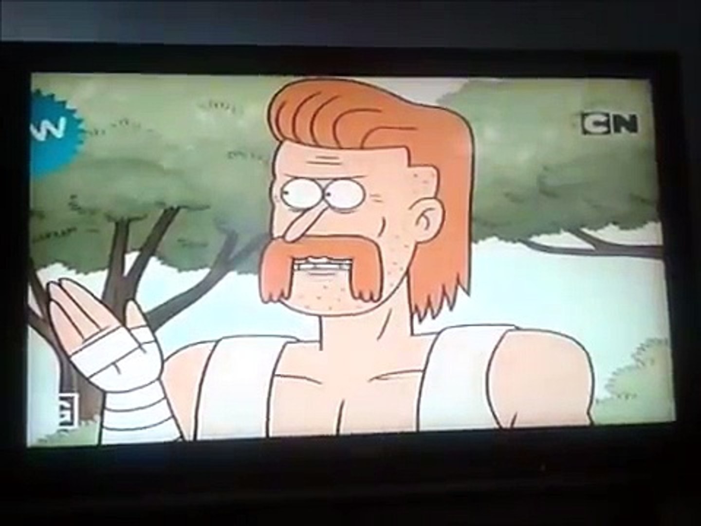 Cartoon Network Reguliere Show