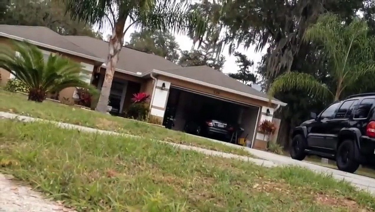 Incroyable ce que ce papa trouve en allant chercher le ballon de son fils : un crocodile ...