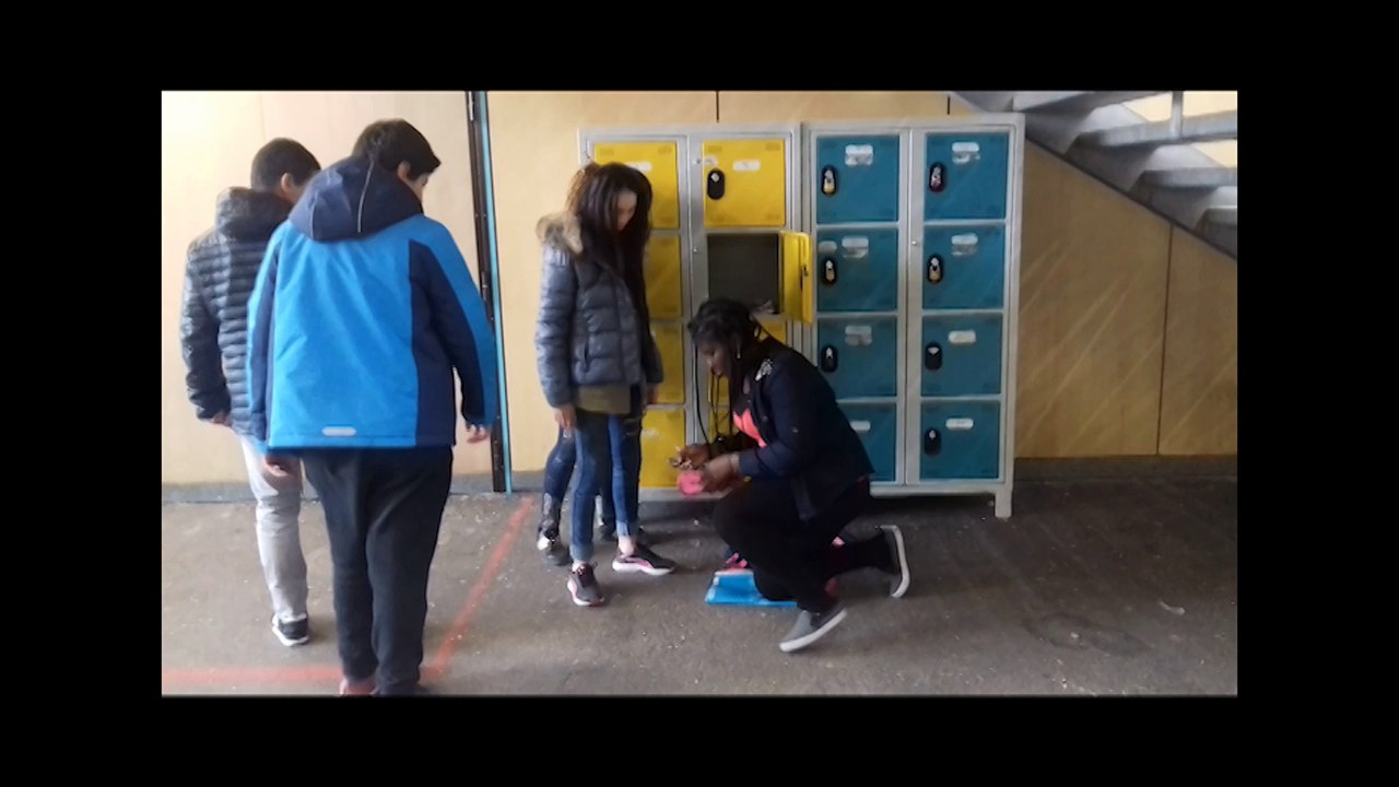 Concours « NAH2017 » Collège Pierre Valdo - Vaulx-en-Velin - Vidéo ...