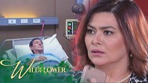 Wildflower by ABS-CBN Entertainment - Dailymotion