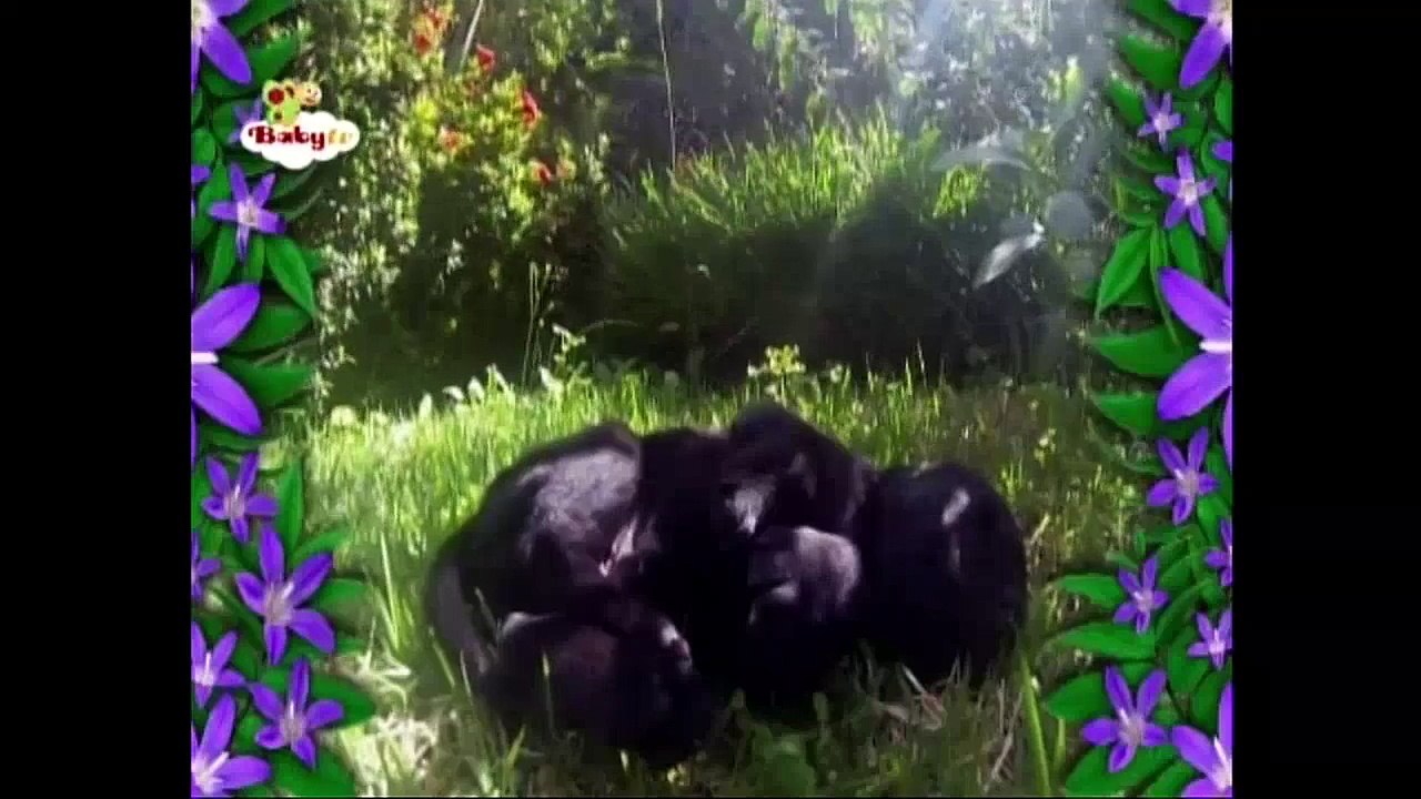 Baby tv español latino completo - video Dailymotion