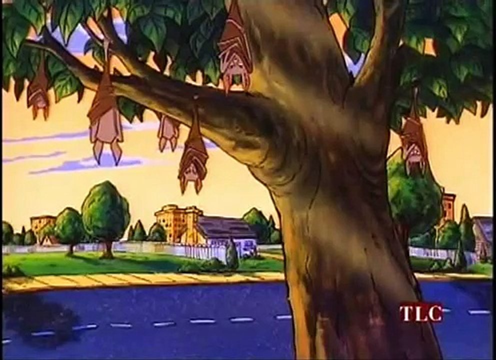 The Magic School Bus E17 - Going Batty - video Dailymotion