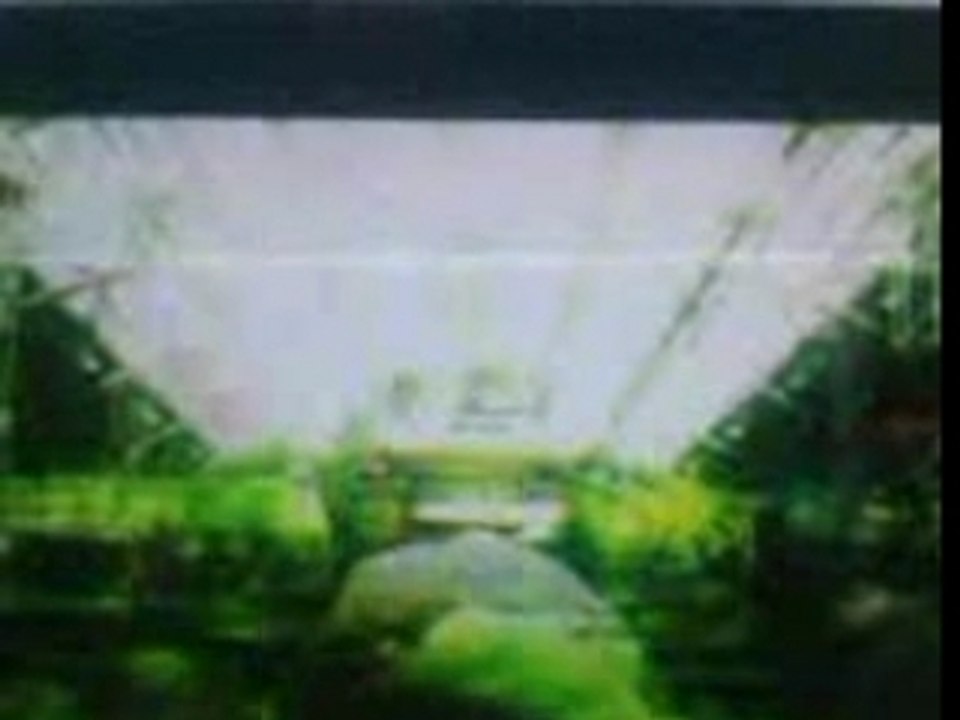 Bones générique saison 1 - Vidéo Dailymotion