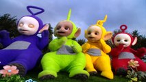 Teletubbies Magical Event: The Magic Tree - Clip - video dailymotion