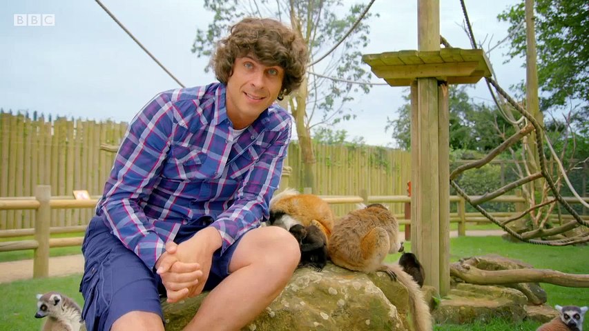 Andy's Baby Animals by Andy's Adventures - dailymotion