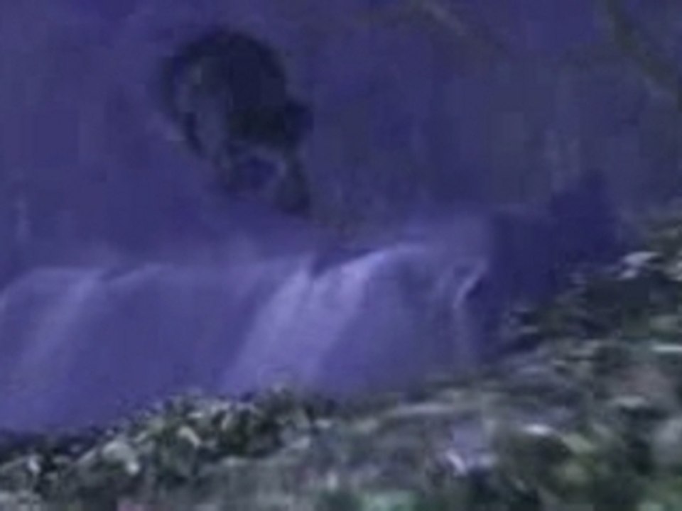 WOW_Intro_1024 - Vidéo Dailymotion