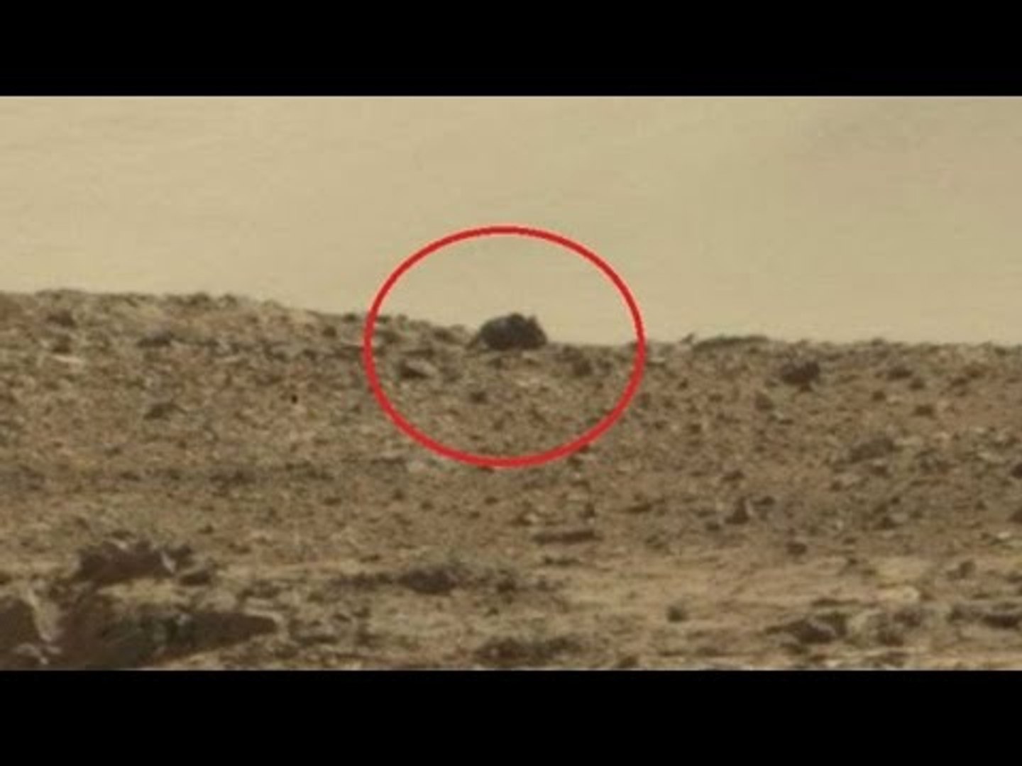 Extraterrestrials Nasa Rover Shows Mars Rodent Finally, An Alien