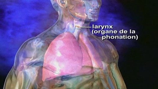 La laryngite expliquée en vidéo - Vidéo Dailymotion