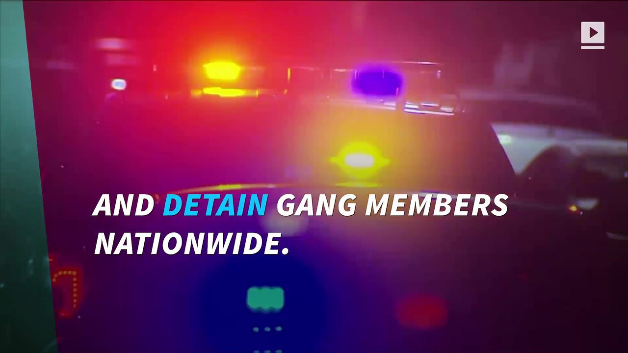 Over 1,300 gang members arrested by ICE - video Dailymotion
