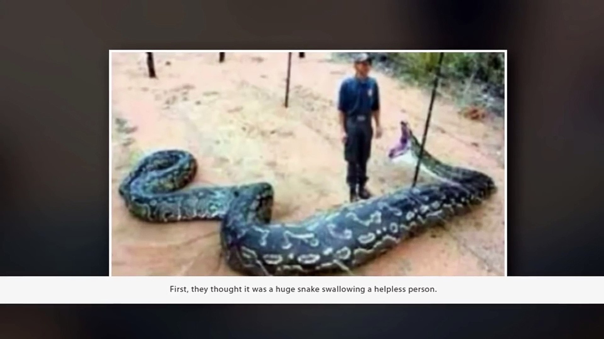 Half Human Half Snake In Africa