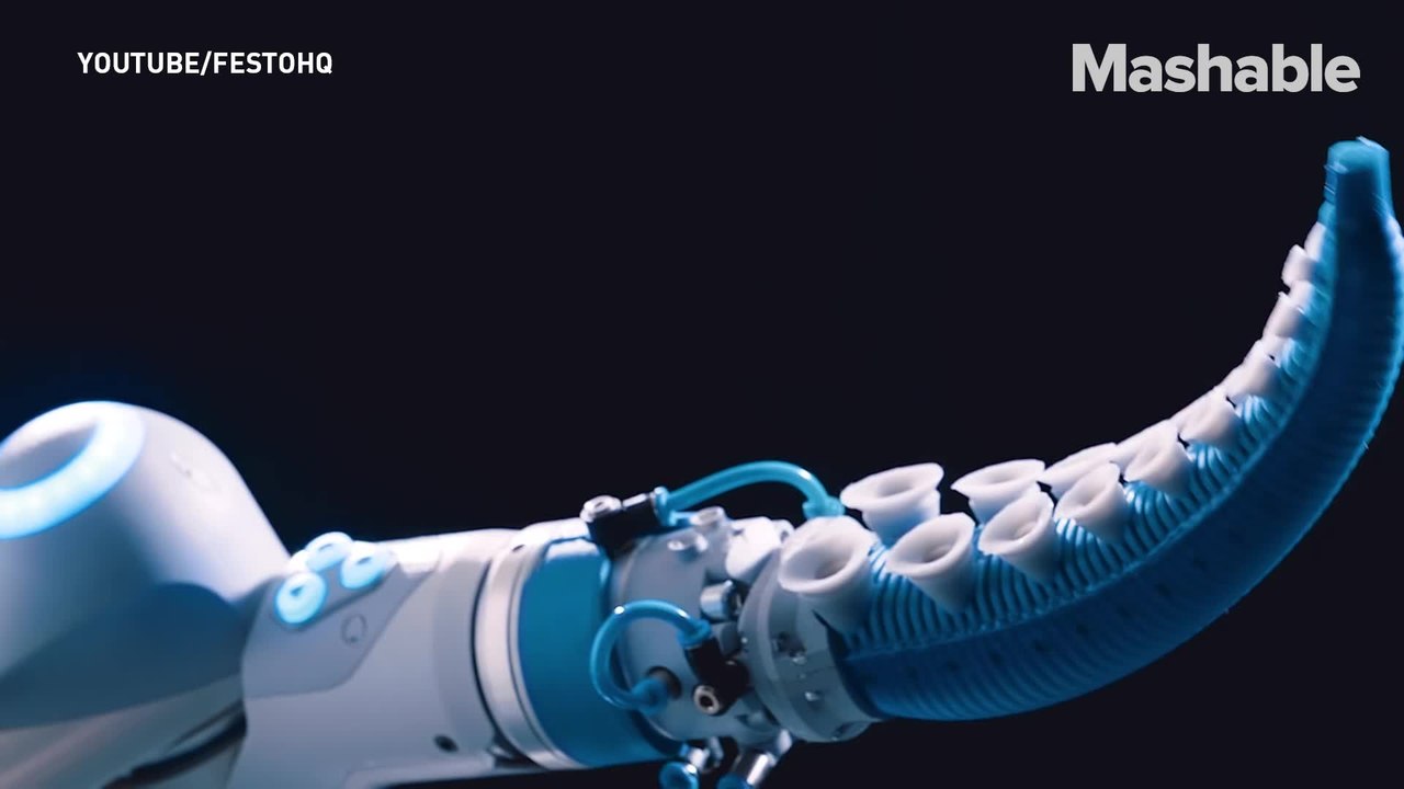 Scientists created a robotic octopus arm to make gripping a lot easier ...