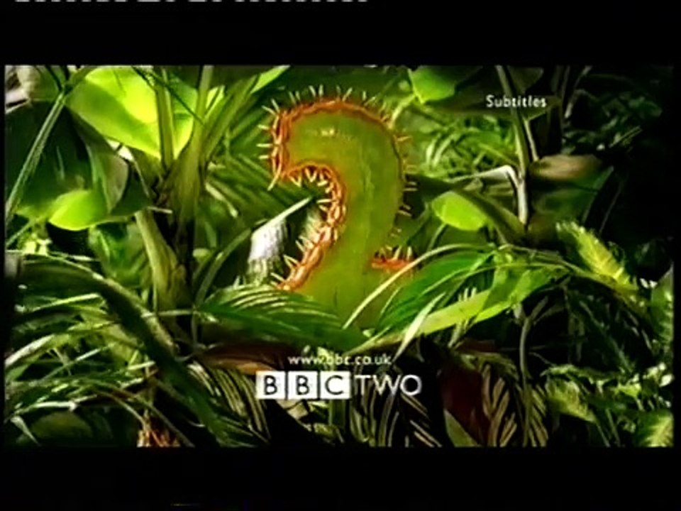 BBC2 Idents (November 2001) - video Dailymotion