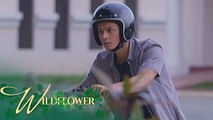 Wildflower by ABS-CBN Entertainment - Dailymotion