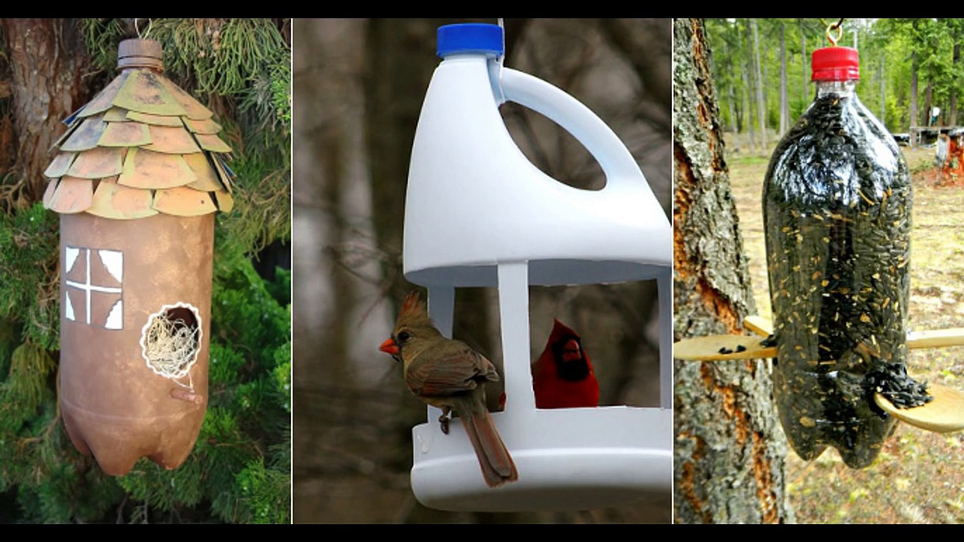 Creative Recycling Projects