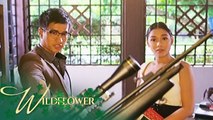 Wildflower by ABS-CBN Entertainment - Dailymotion