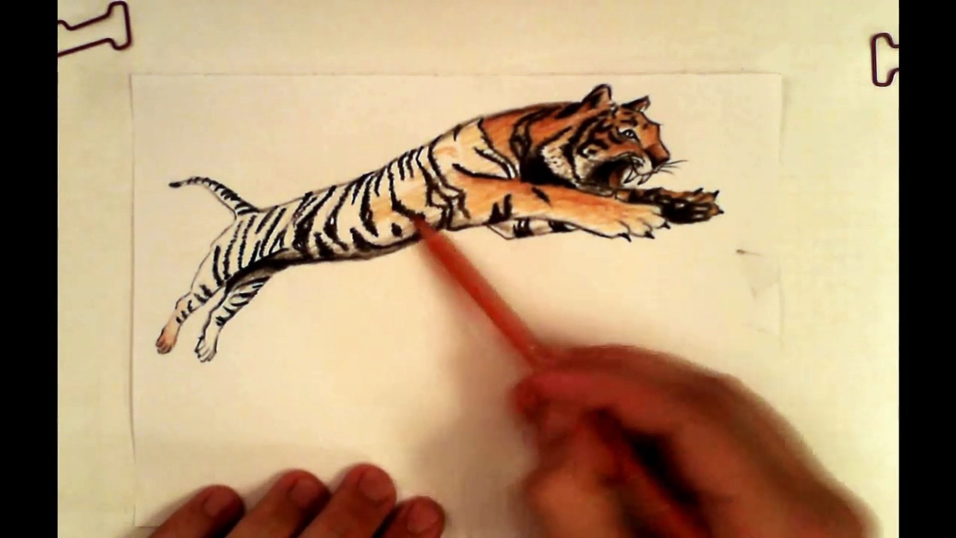 Leaping Tiger Drawing